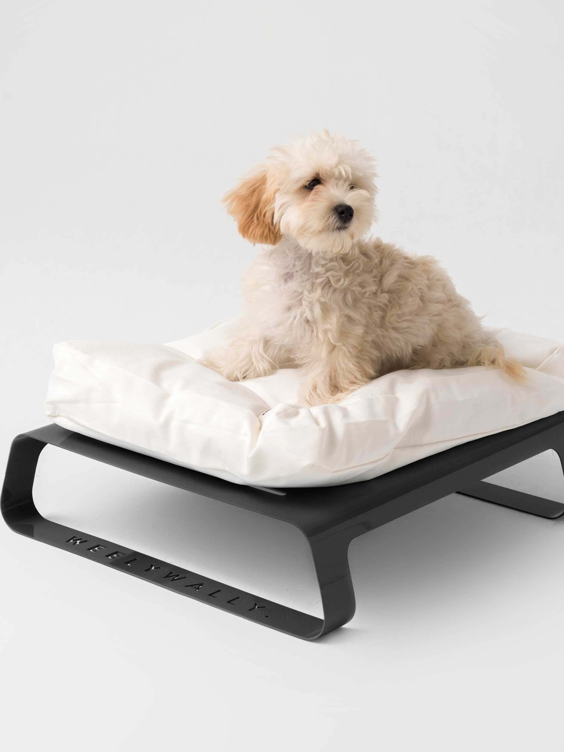 《Weelywally》2022春夏宠物用品系列Lookbook-POP家纺趋势网